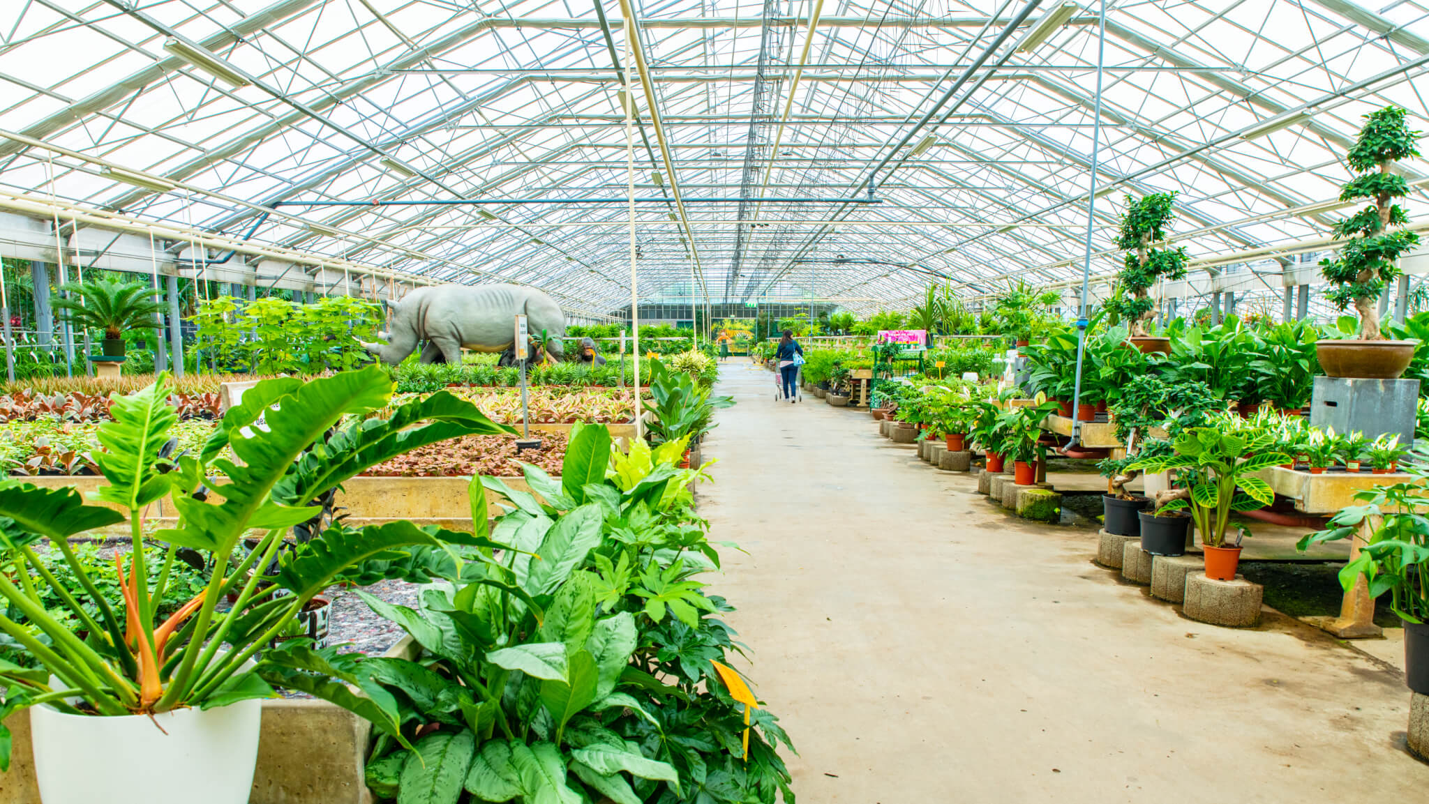 Het grootste tuincentrum van Nederland - VisitAalsmeer.nl
