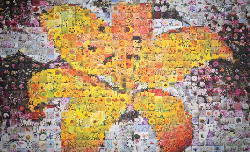 Flower Art Museum krijgt officiële museumstatus - Visit Aalsmeer